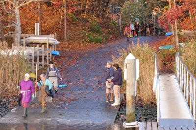 Mashpee EOC Has A New Shellfish Representative | Mashpee News ...