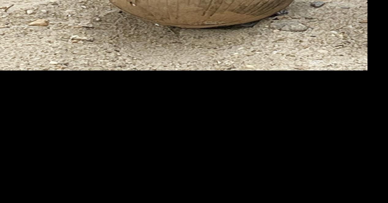 State Diffuses Unexploded Firework Found On Falmouth Beach | Falmouth ...