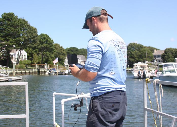 ‘A Perfect Storm Of Circumstances’: Mashpee Scientist Researches ...