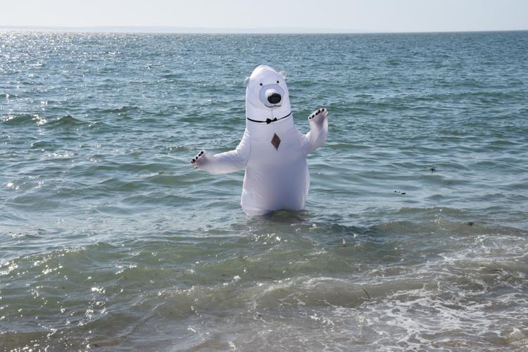 PHOTOS: Swimmers Take 'The Plunge' To Support Gosnold's Mission ...