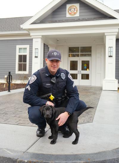 Sandwich Police Welcomes New Narcotics Dog To The Force | Sandwich News ...