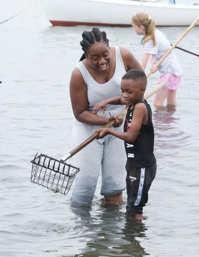 Mashpee Selectmen Approve Changes To Shellfish Regulations | Mashpee ...
