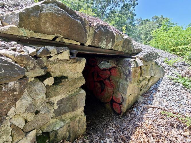 Farms And Cow Tunnels In Sandwich | Columns | capenews.net