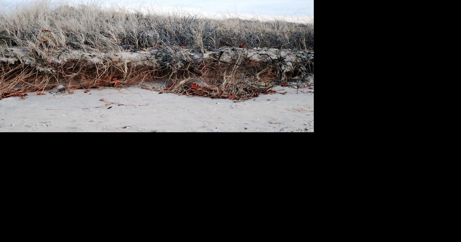 Woodneck Beach In Falmouth Suffers Erosion After Winter Storm ...
