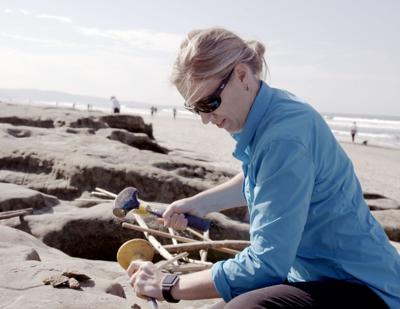 Library Sponsors Virtual Screening Of 'Picture A Scientist' | Arts ...