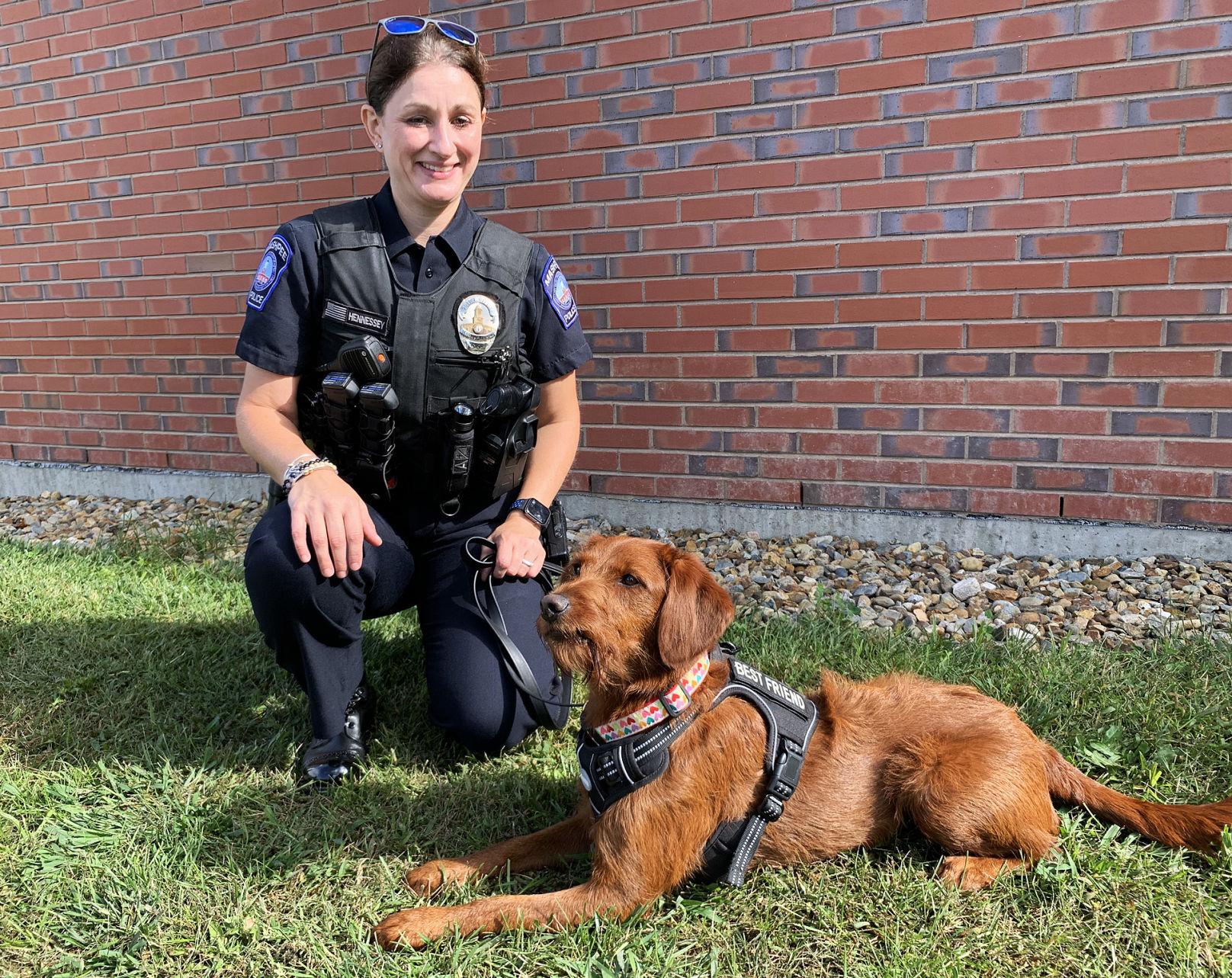 Mashpee Police K-9 Partner Certified As A Comfort Dog | Mashpee News ...