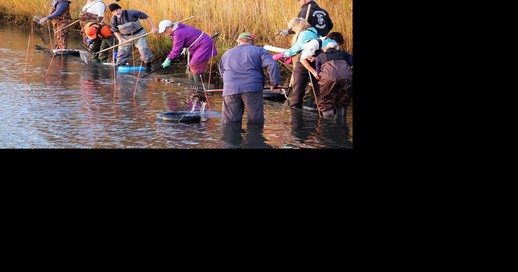 PHOTOS: Mashpee Shellfishing First Day | Mashpee | capenews.net