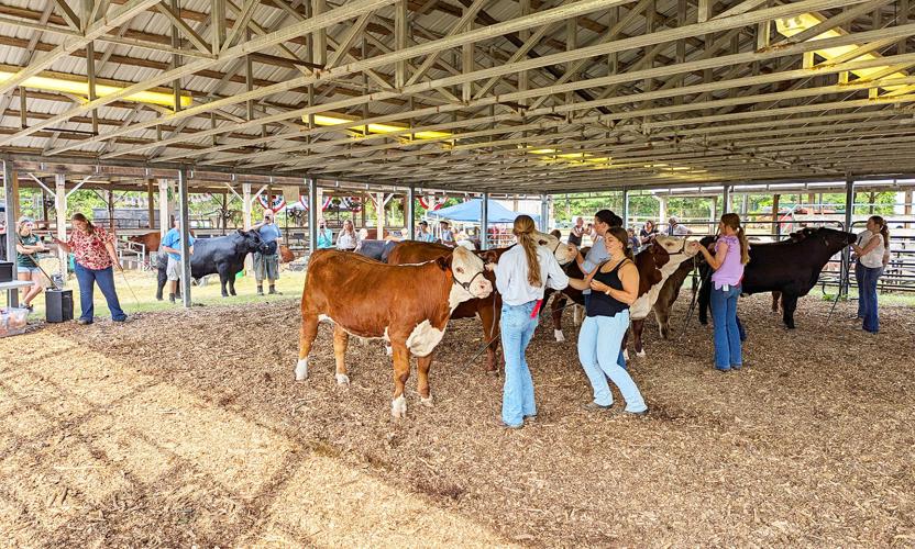 PHOTOS: Barnstable County Fair, 2024 | Falmouth News | capenews.net