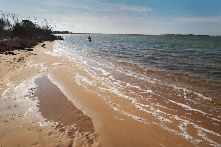 The Week In Photos - February 26, 2021 | Photography | capenews.net