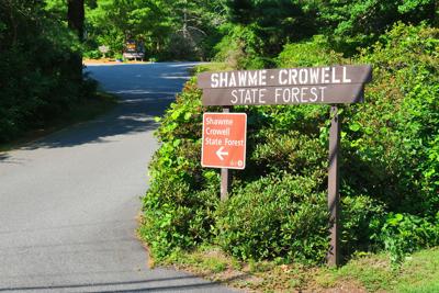 Sandwich Camping Trip Ends In Fear For One Couple | Sandwich News ...