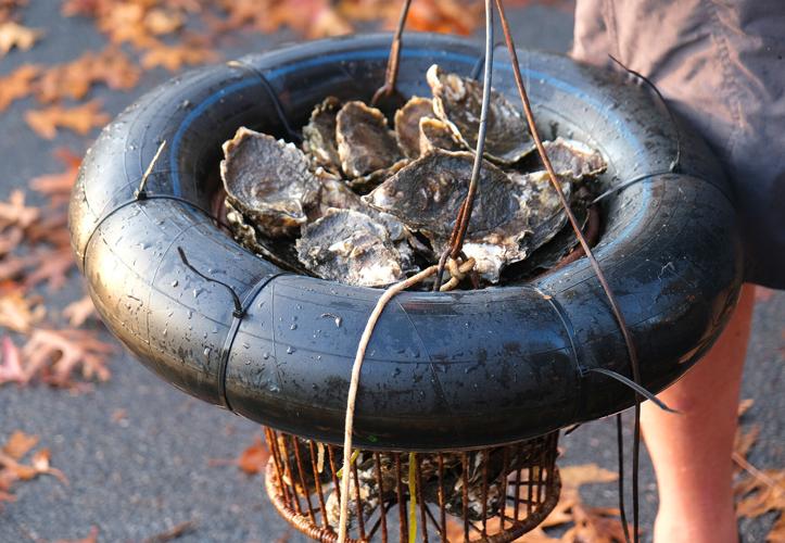 PHOTOS: Mashpee Shellfishing First Day | Mashpee | capenews.net