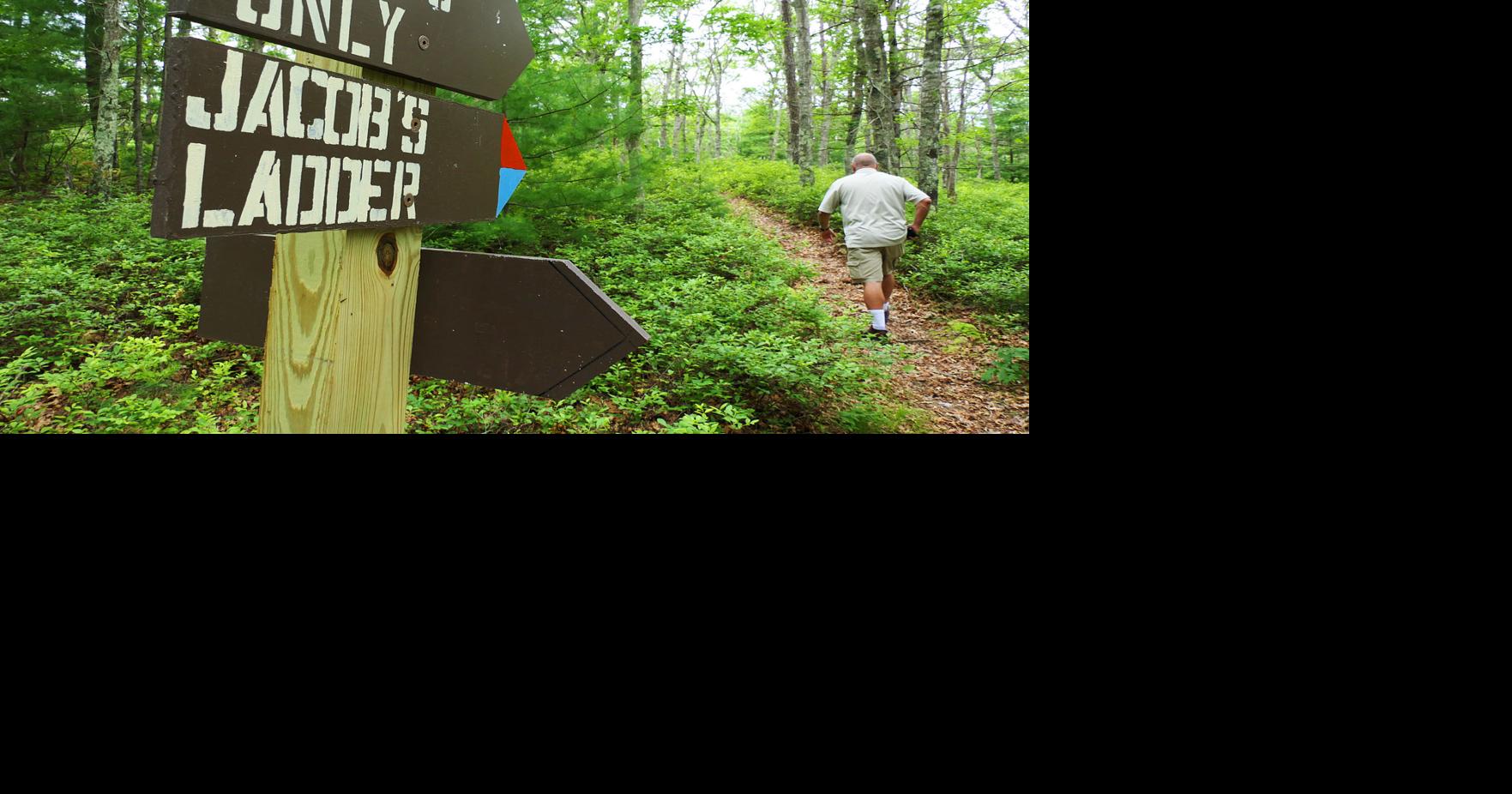 Maple Swamp Offers Visitors New Highs | Regional News | capenews.net