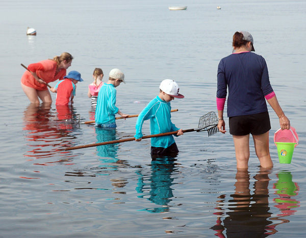 Children Dig Into Clamming | Mashpee News | capenews.net