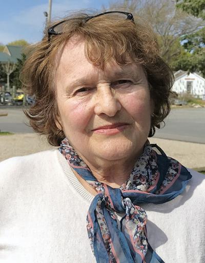 Ms. Goldstein Seeking Selectman Seat Again | Bourne News | capenews.net