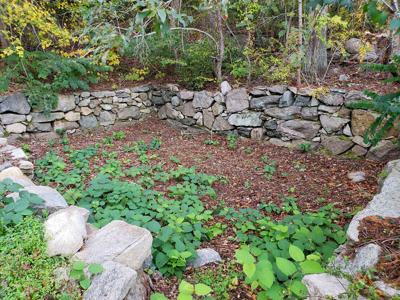 Historic Home For Wayward Sheep Gets Sheared | Falmouth News | capenews.net
