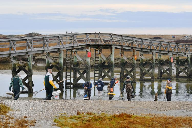 The Week In Photos - December 25, 2020 | Photography | capenews.net