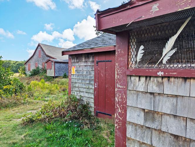 Chop Chaque Bog Restoration Project To Start Construction | Mashpee ...