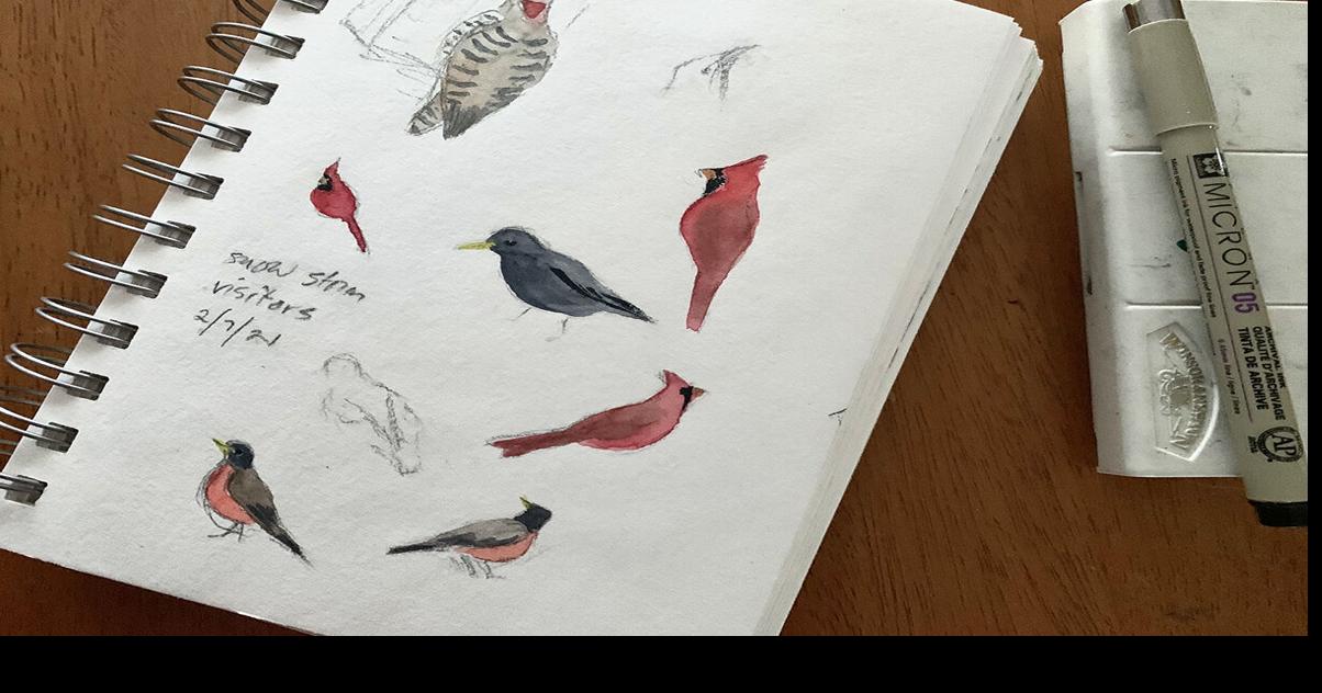 Weekly Nature Watch: A Yard Full Of Birds | Columns | capenews.net