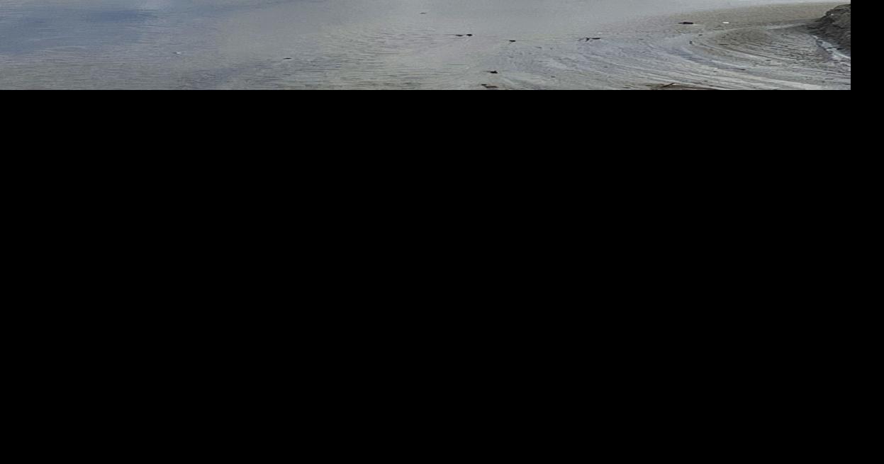 State Storm Team Logs Widespread Damage In Falmouth After Winter Storms ...