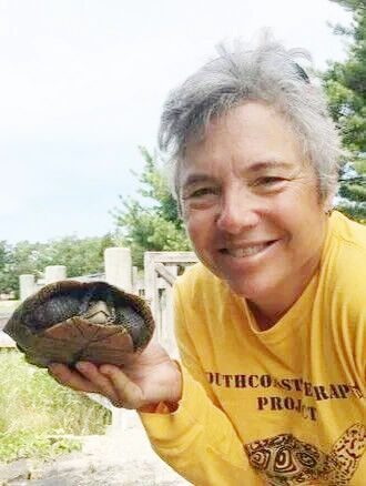 Marine Biologist To Discuss Importance Of Salt Marshes | Sandwich ...