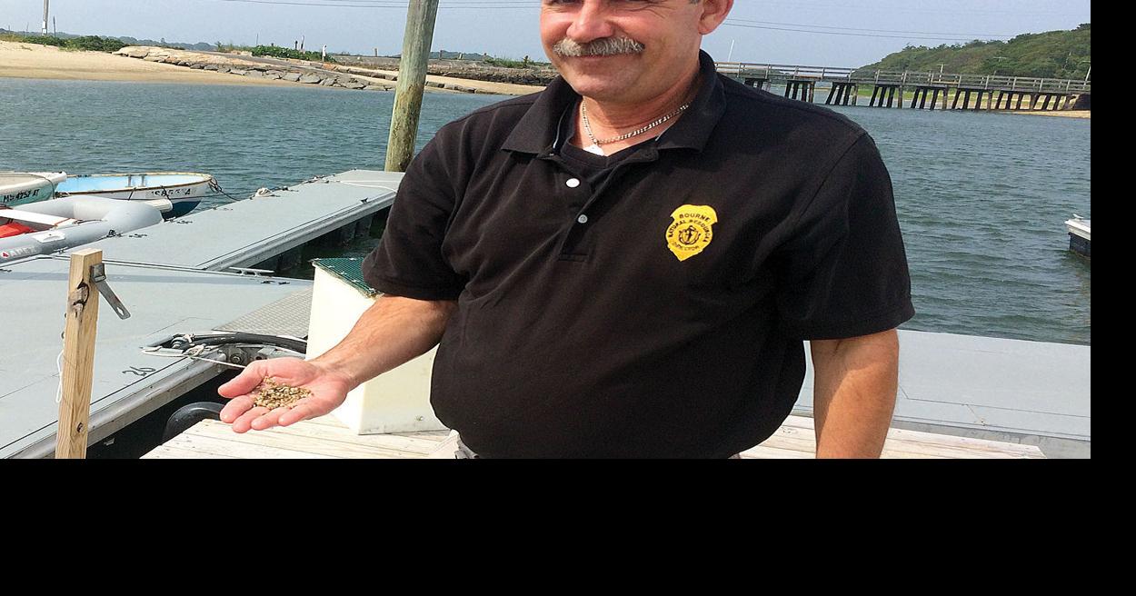Mr. Mullen Named Shellfish Warden Of The Year | Bourne News | capenews.net