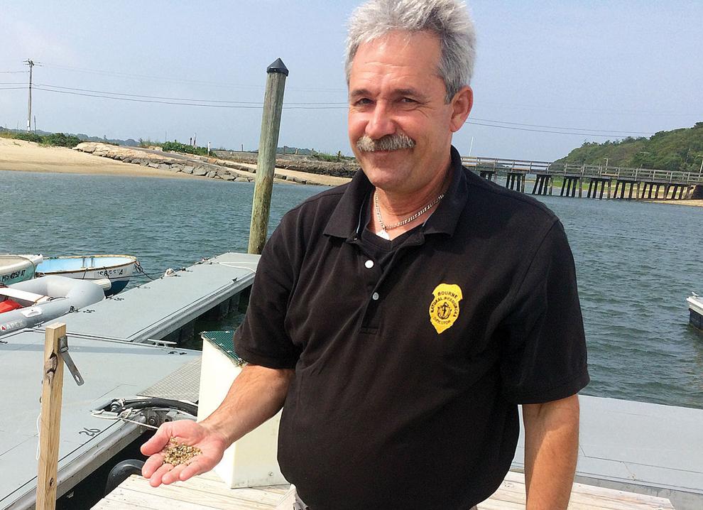 Mr. Mullen Named Shellfish Warden Of The Year | Bourne News | capenews.net