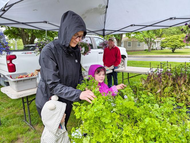 The Week In Photos - May 30, 2025 | Photography | capenews.net