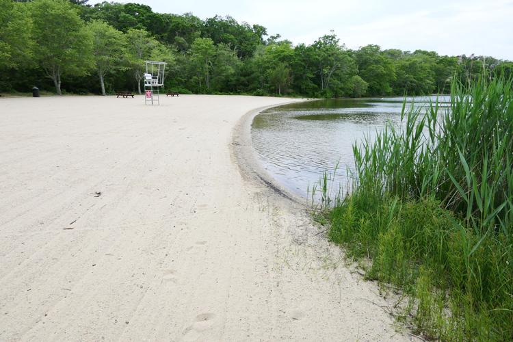 Conservation Lands In Sandwich Becoming More User-Friendly | Sandwich ...
