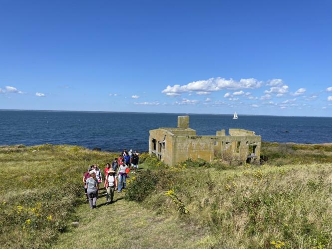 Penikese Island Celebrates 150 Years Of Botanical Surveys | Falmouth ...