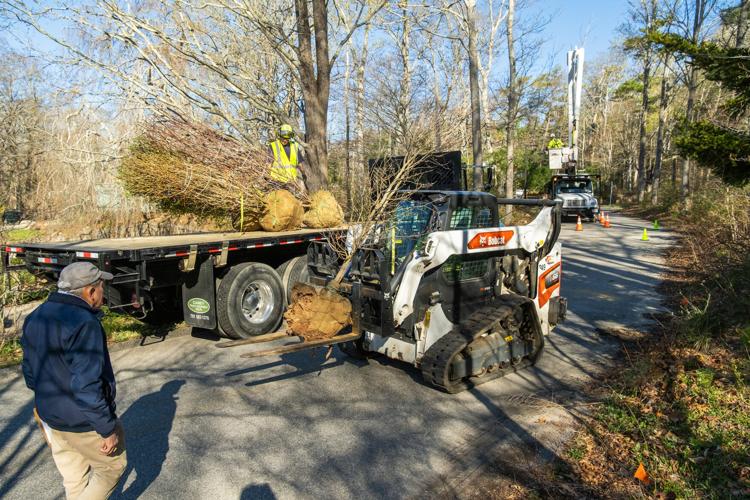 PHOTOS: Arbor Day Work At Highfield | Falmouth News | capenews.net