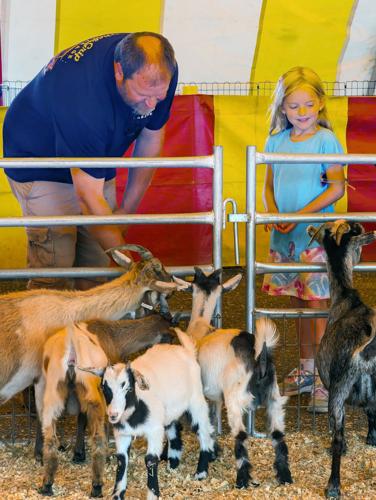 PHOTOS: Barnstable County Fair, 2024 | Falmouth News | capenews.net