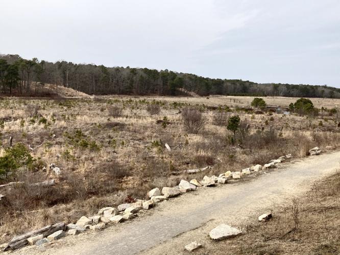 Tales From Granny Squannit: Drumbeats To Honor Our Precious Herring ...