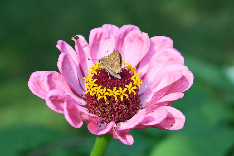 The Week In Photos - September 8, 2023 | Photography | capenews.net