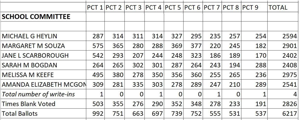 Mr. Brown, Mr. Reed Win Select Board Seats In Falmouth | Falmouth News ...