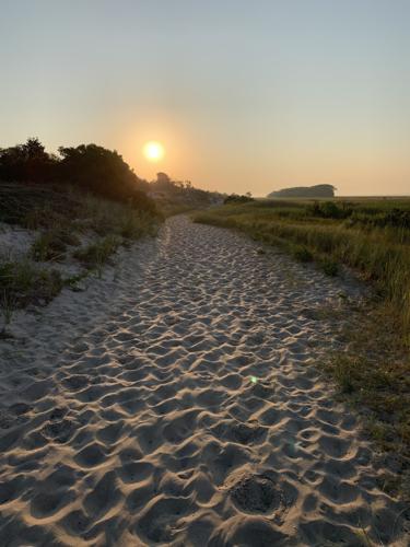 Weekly Nature Watch: A Few Of My Favorite Things | Columns | capenews.net