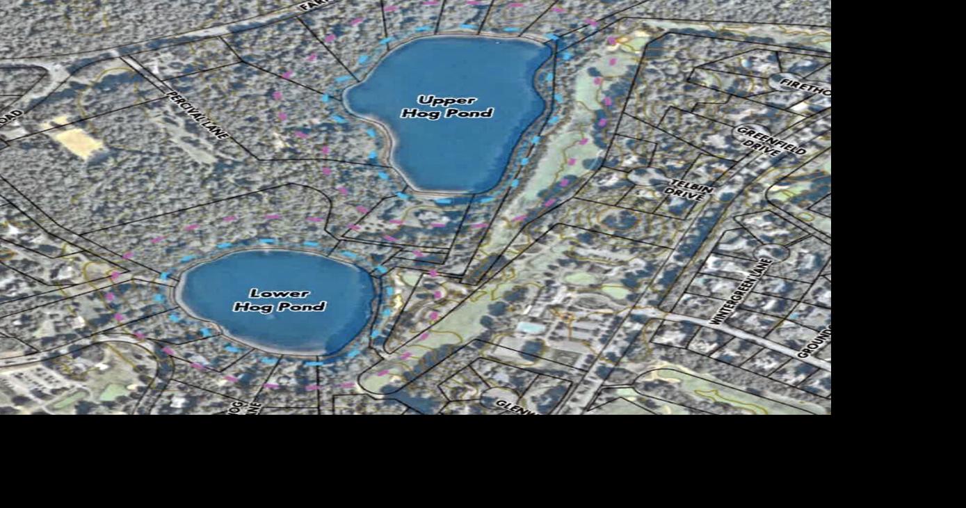 Vegetative Vexation At Hog Ponds: Buffer Battle Between Abutters And ...