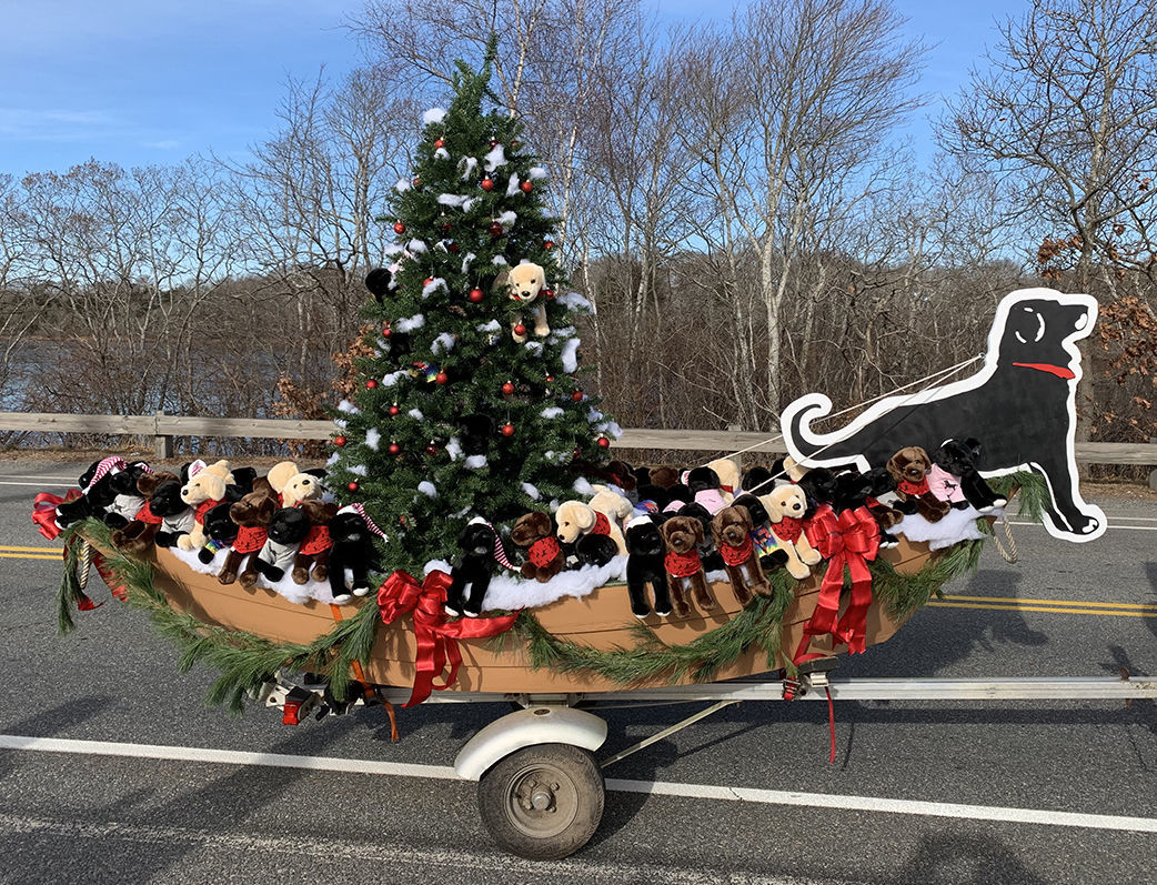 Friends Of Falmouth Dogs - December 14, 2018 | Falmouth Columns ...