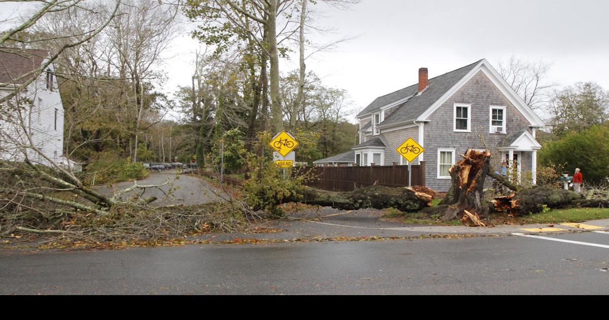 Storm Causes Damage Around Falmouth | Falmouth News | capenews.net