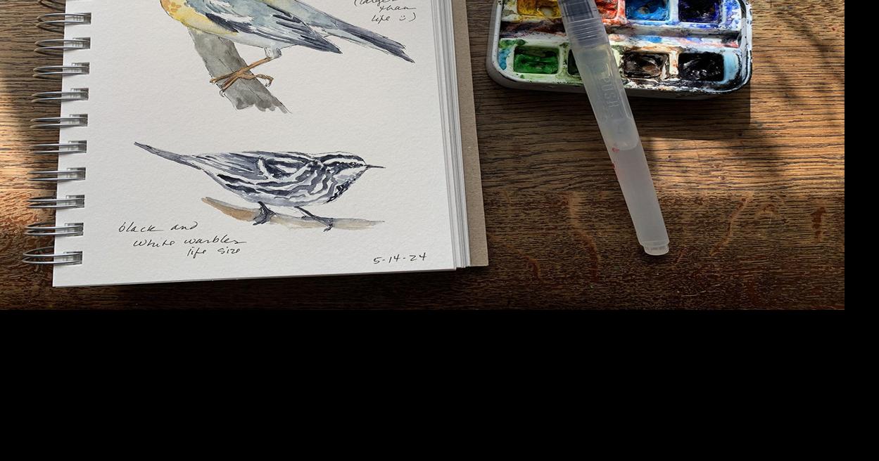 Weekly Nature Watch: So Many Different Birds | Columns | capenews.net