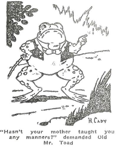 A Lesson From Old Mr. Toad | Columns | capenews.net