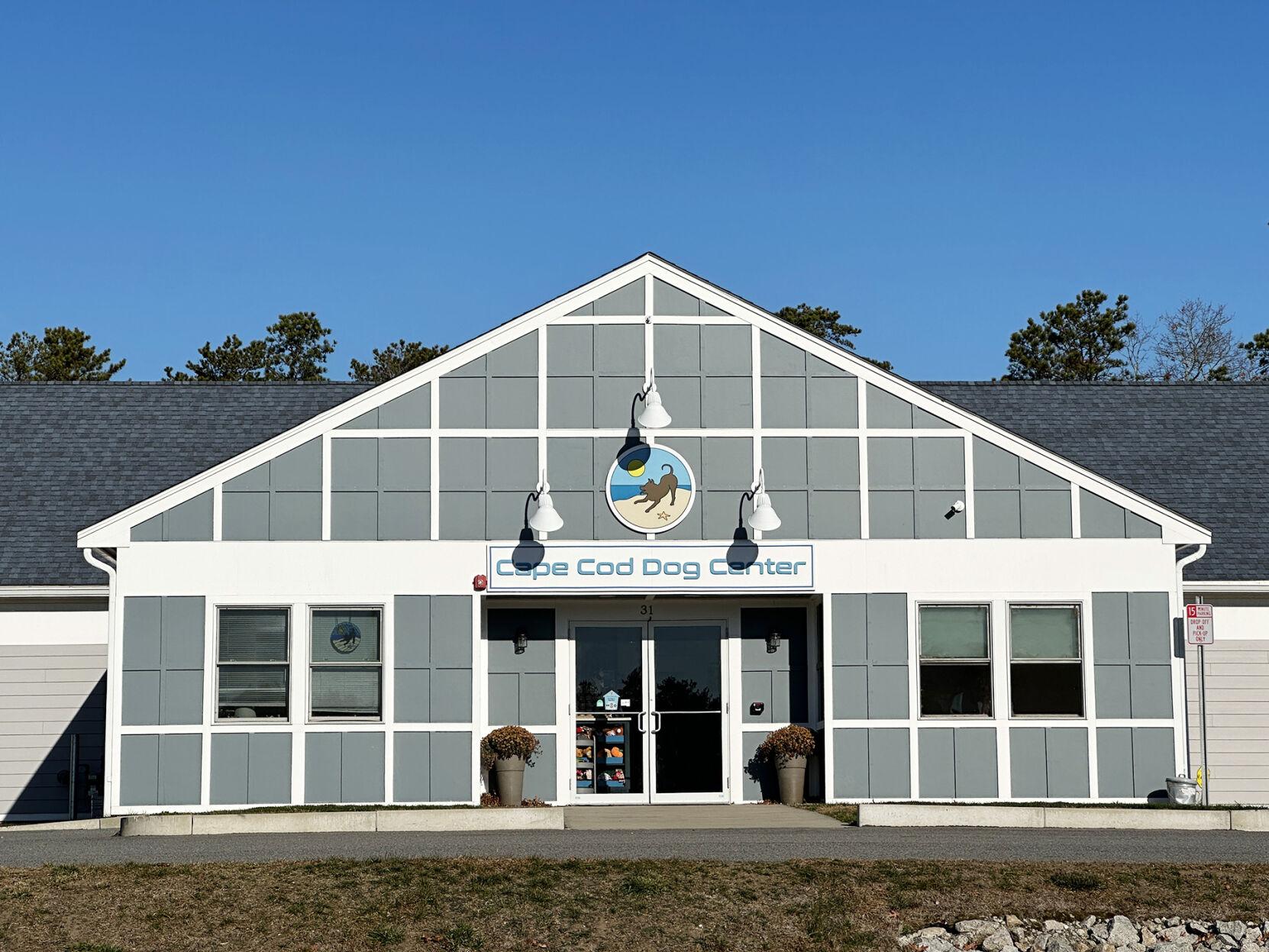 What To Know About The Cape Cod Dog Center Situation So Far | Mashpee ...