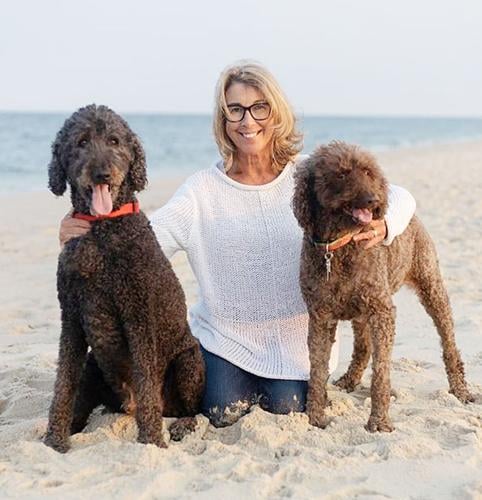 Author Judy Lannon Will Visit Titcomb’s Bookshop | Arts & Entertainment ...