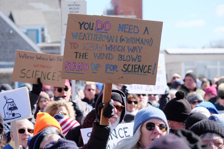 PHOTOS: Crowd Gathers In Woods Hole To 'Stand Up For Science ...