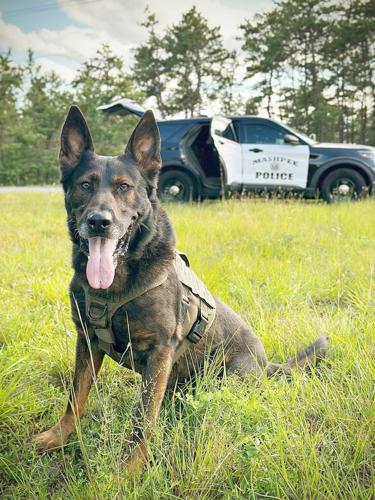 The Week In Photos - November 10, 2023 | Photography | capenews.net