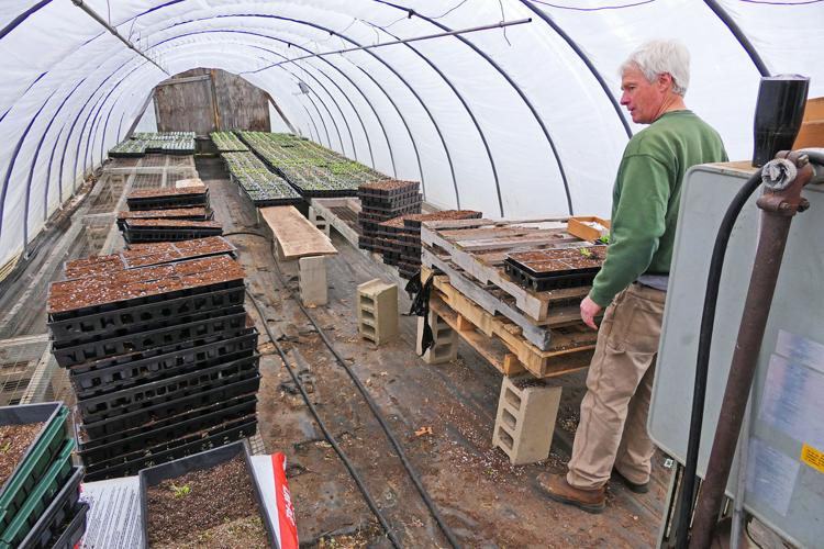 Farmers Soldier On To Provide Crops For Hungry Customers | Regional ...