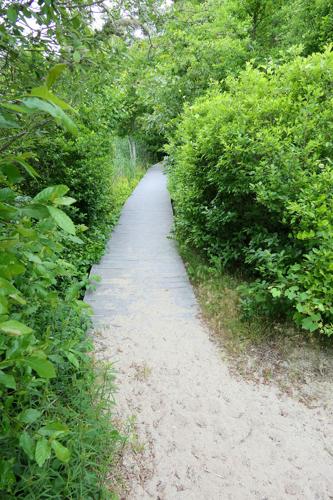 Conservation Lands In Sandwich Becoming More User-Friendly | Sandwich ...