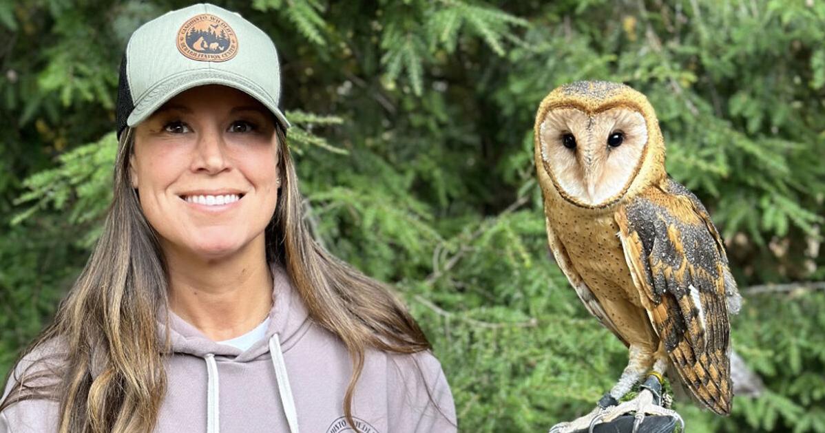 Natural History Museum Will Present ‘Wild About Wildlife!’ | Arts ...