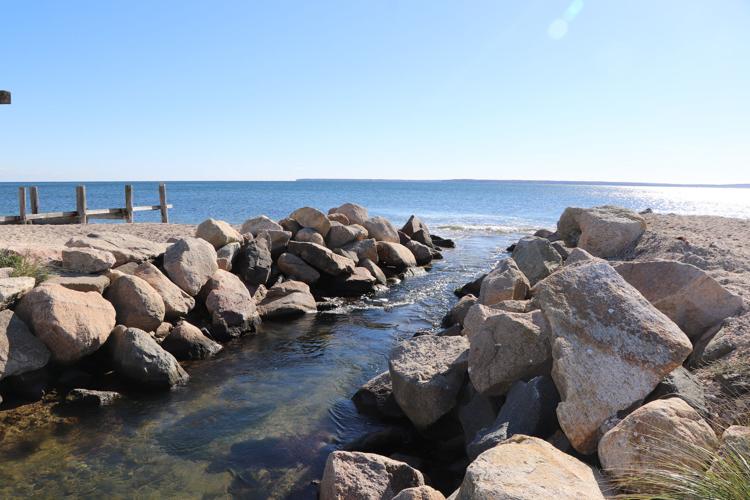 The Week In Photos - November 10, 2023 | Photography | capenews.net