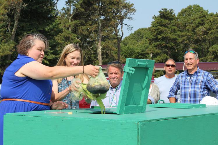 Falmouth’s Second Composting Site Open And Ready For Food Scraps ...
