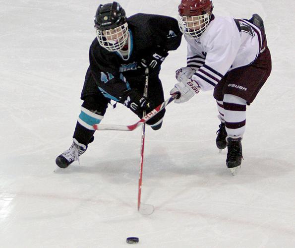 Canal Youth Hockey Recap - December 4, 2015 | Bourne Sports | capenews.net
